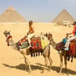 That one time I fell off a camel in Jordan - Young Adventuress