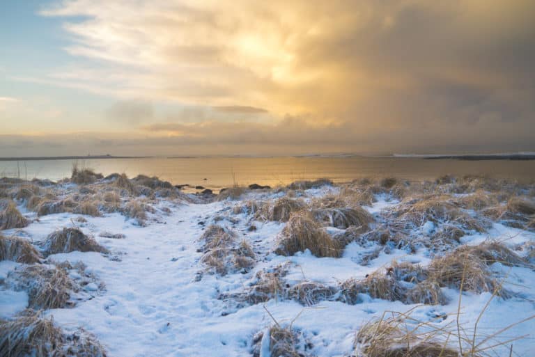 Everything you need to know about visiting Iceland in Winter