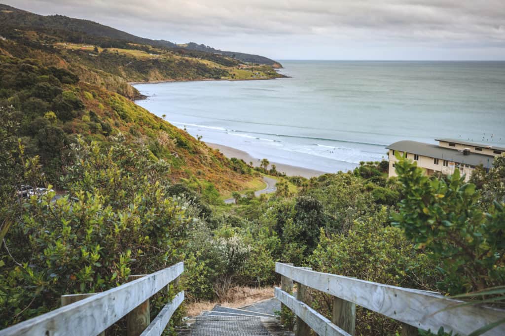 Must-dos on any North Island road trip - Young Adventuress