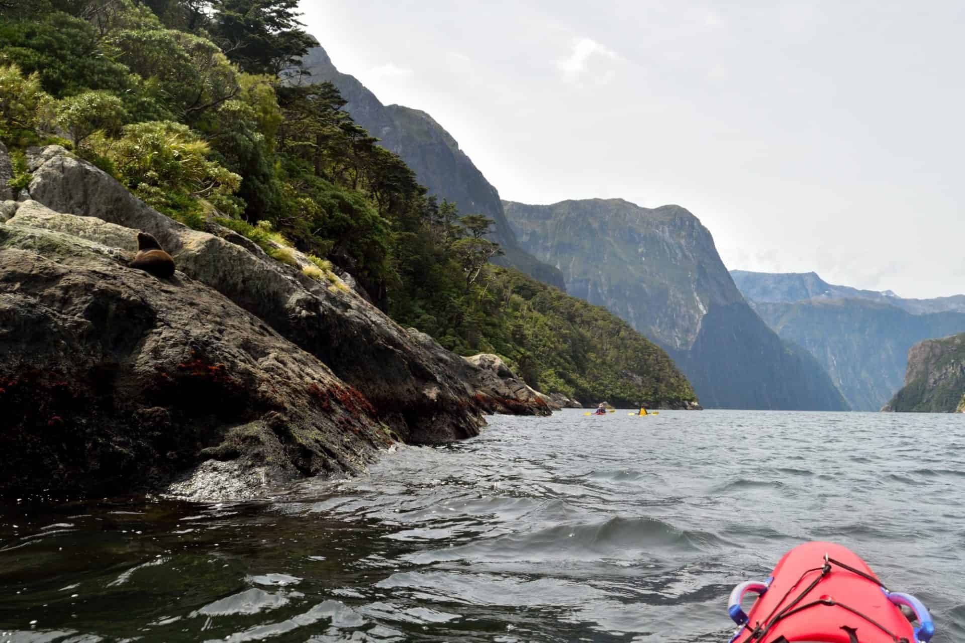 Why Fiordland is an adventurer's playground - Young Adventuress