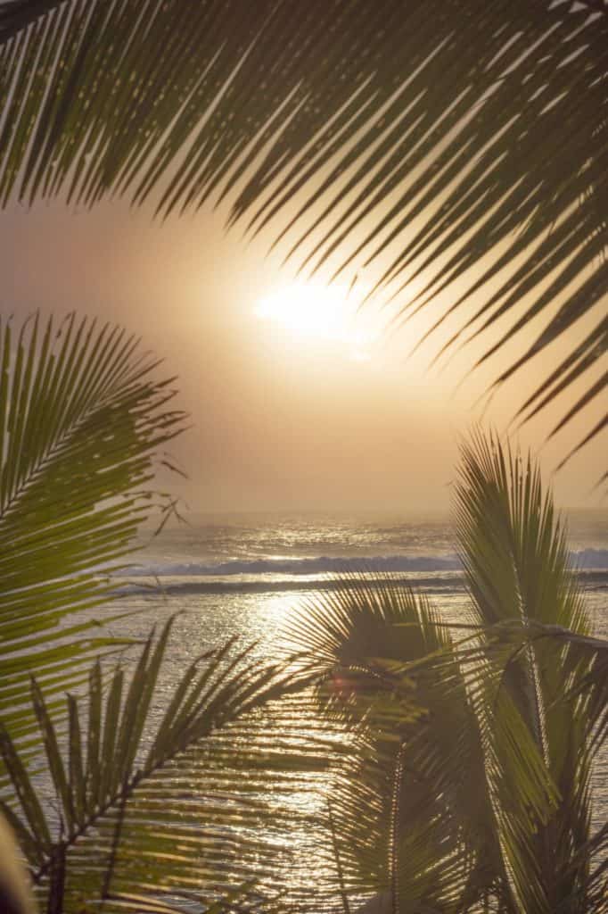 Everything you need to know about visiting the Cook Islands - Young ...