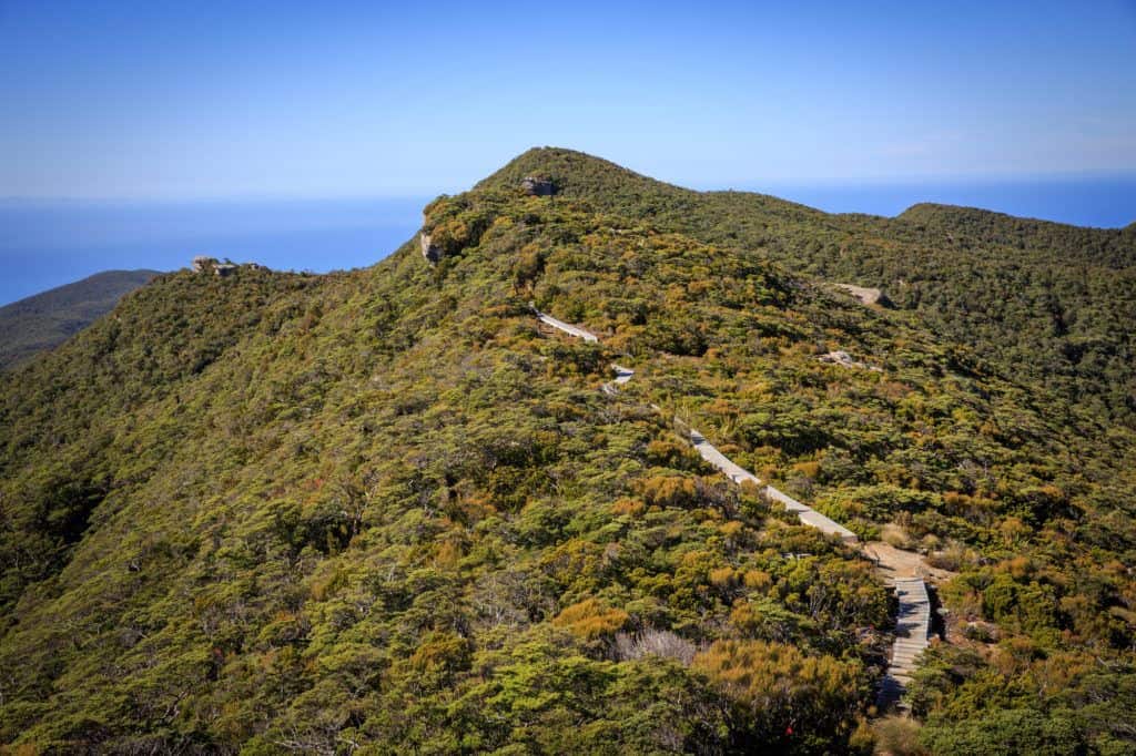 25 photos that will inspire you to walk the Hump Ridge Track - Young ...