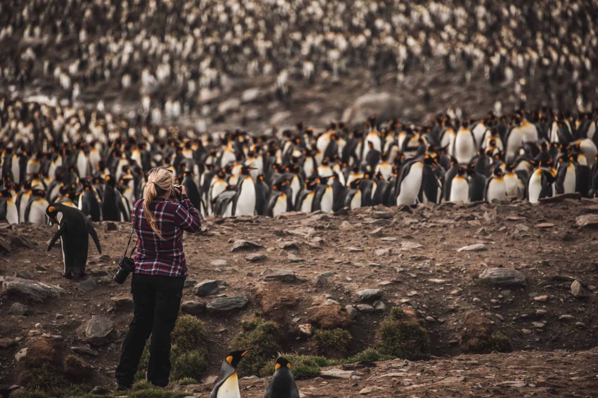 8 ways Antarctica might unexpectedly change your life - flightdeel
