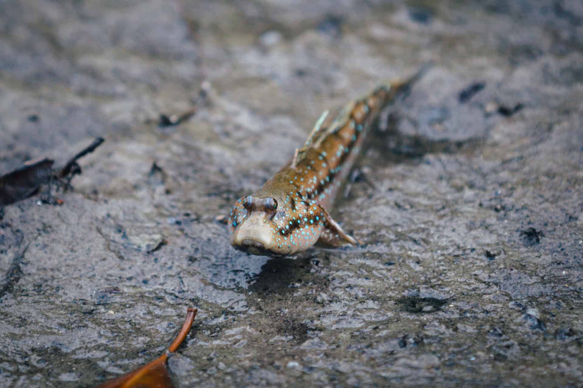 25 photos to inspire you to get away to Langkawi - Young Adventuress