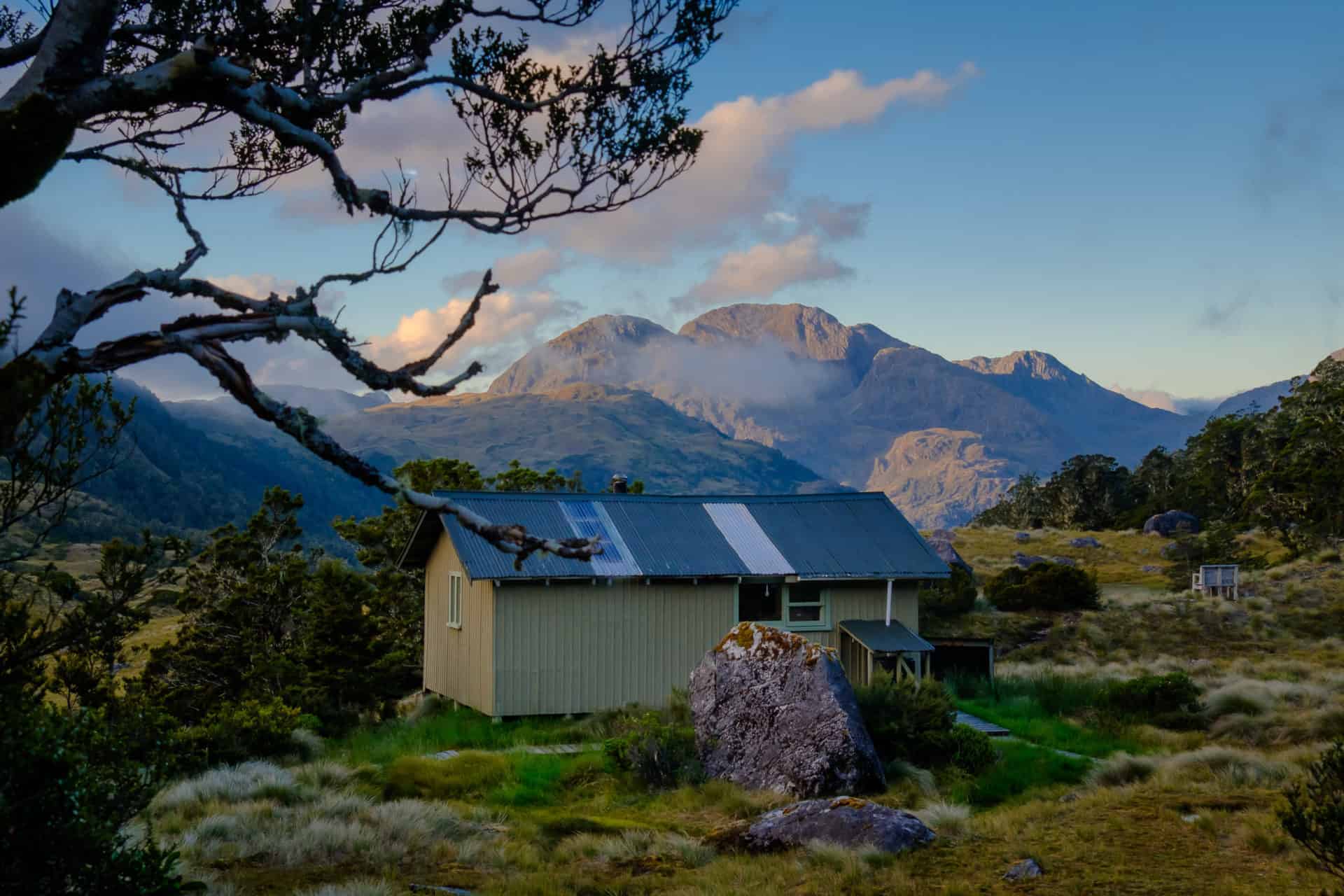 10 things I learned while living with the birds in Fiordland - Young ...