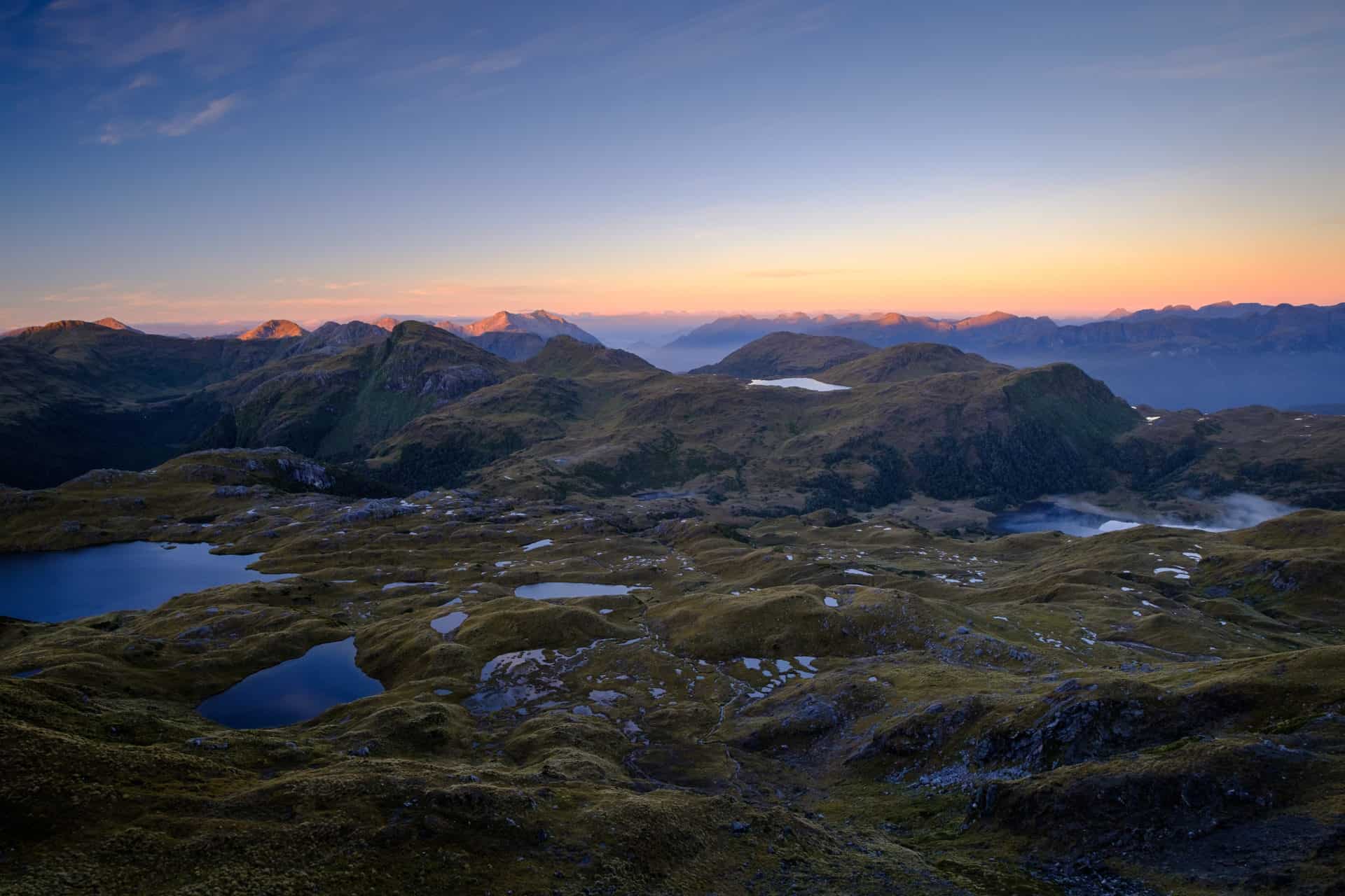 10 things I learned while living with the birds in Fiordland - Young ...