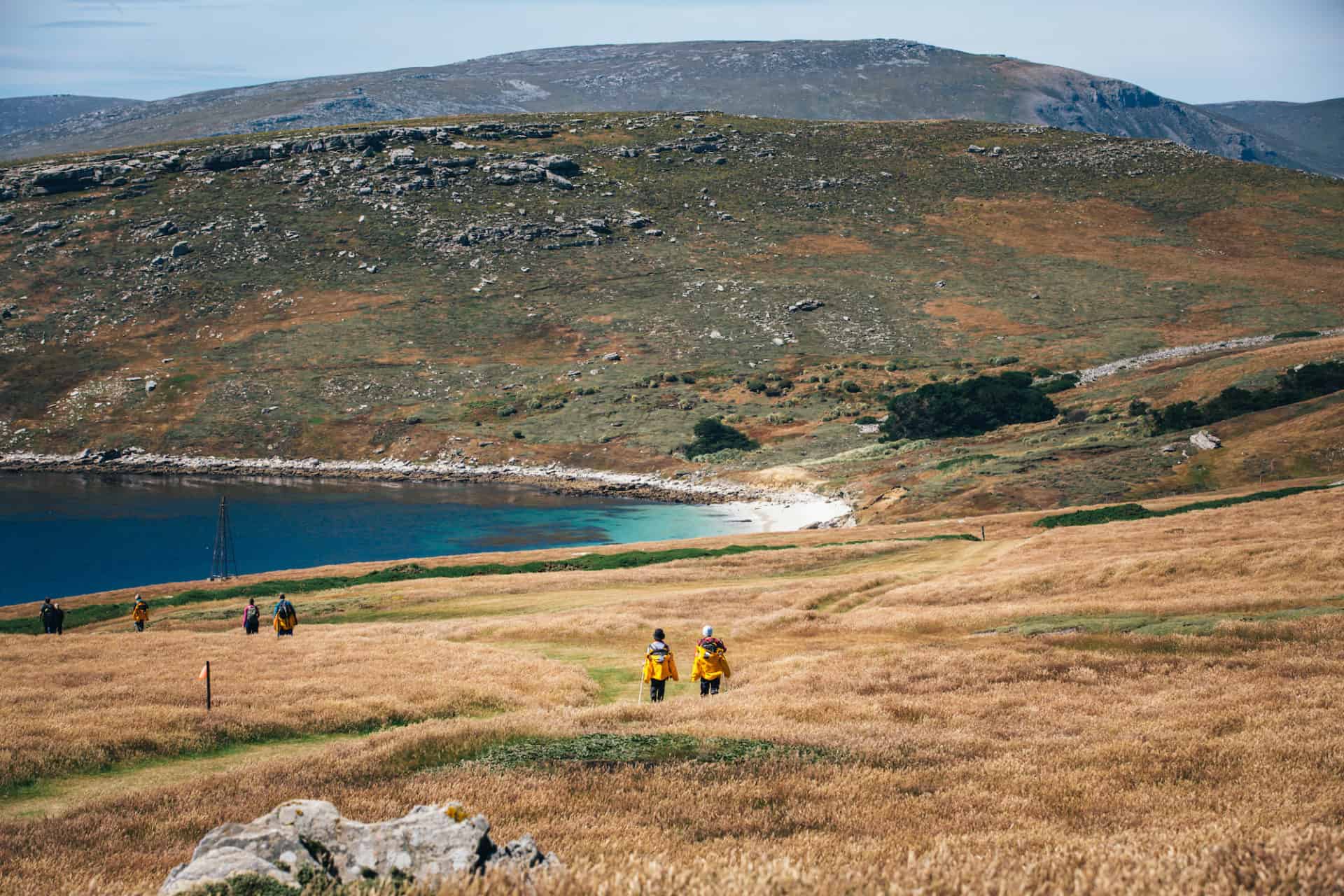 The curious story of the Falkland Islands - Young Adventuress