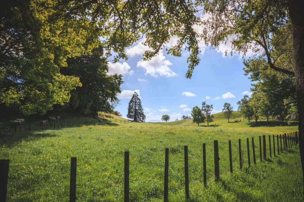 A picture perfect getaway to Waitomo - Young Adventuress