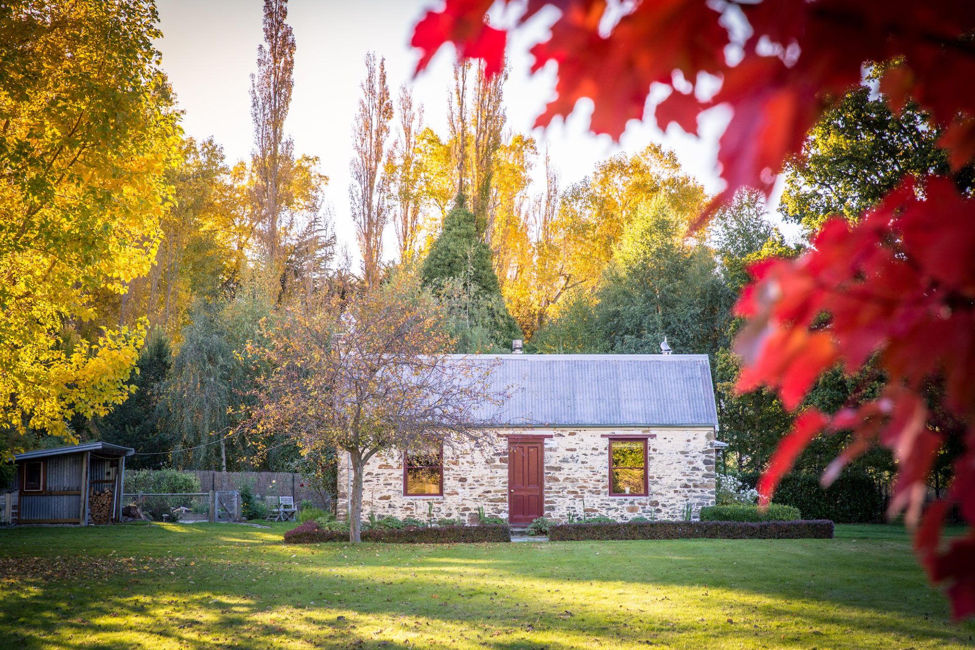 20 photos of autumn in New Zealand that will delight you - Young ...