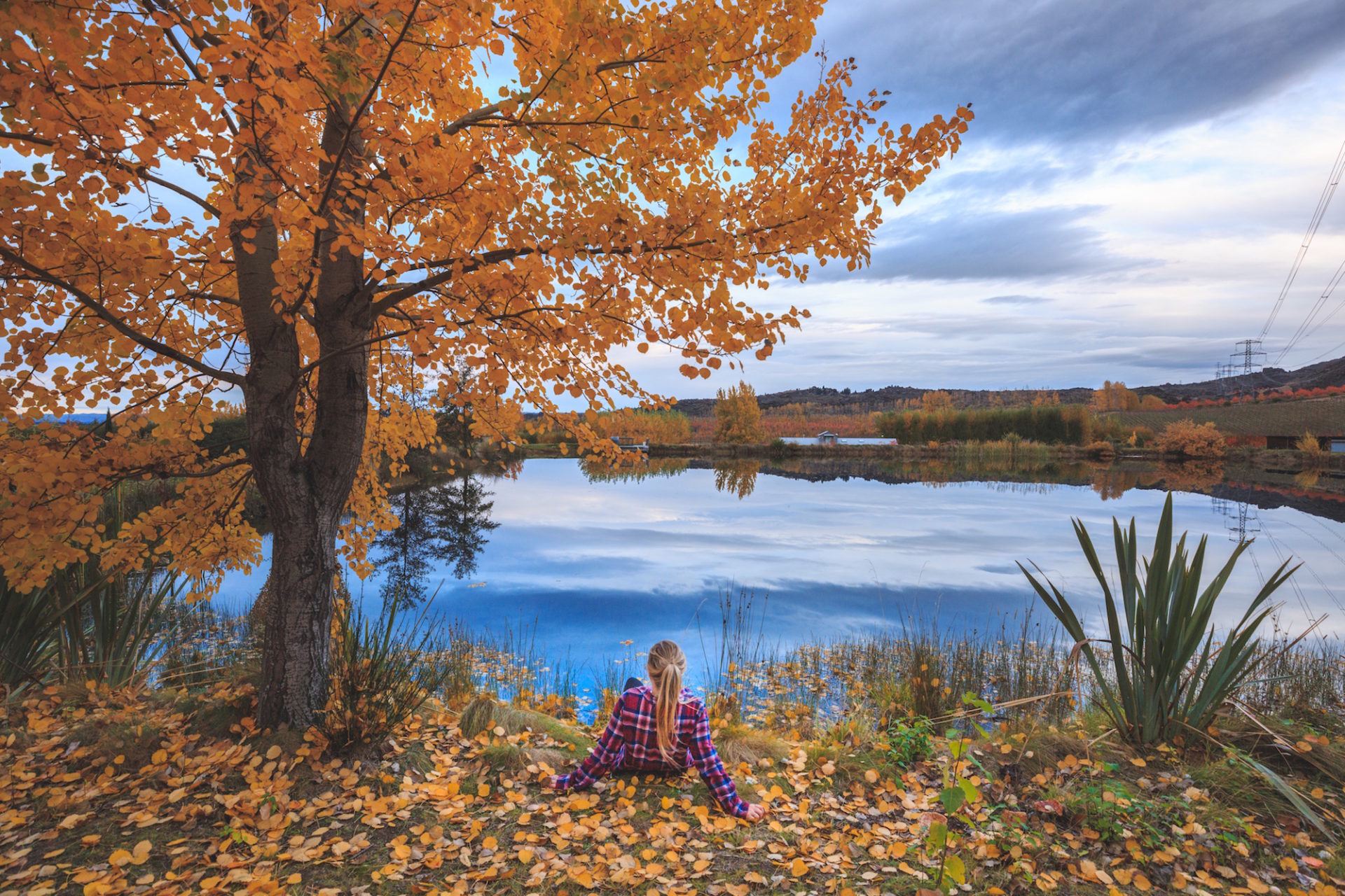 20 photos of autumn in New Zealand that will delight you - Young ...
