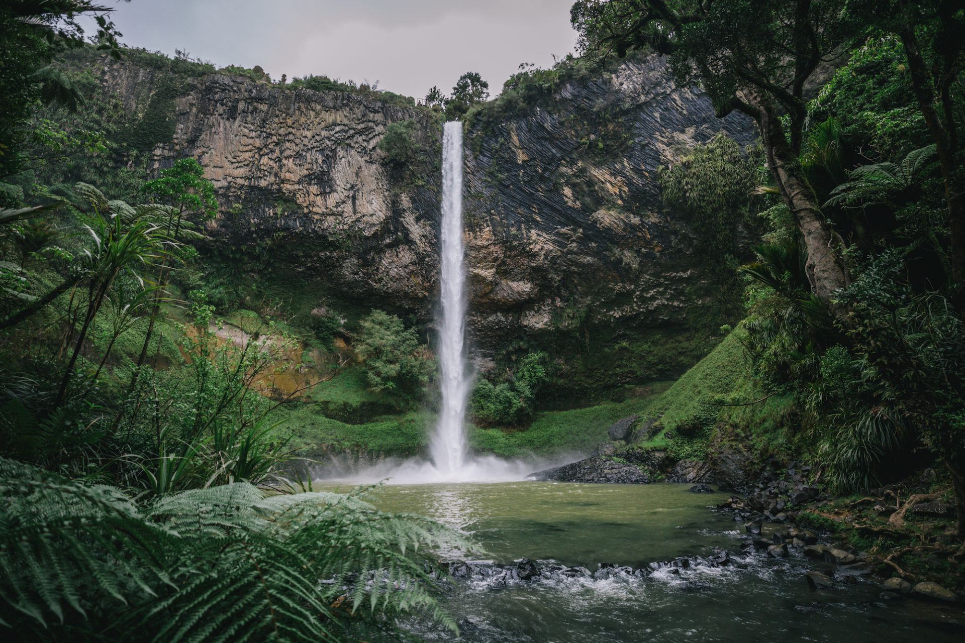 20 photos that will inspire you to visit the Waikato, New Zealand ...