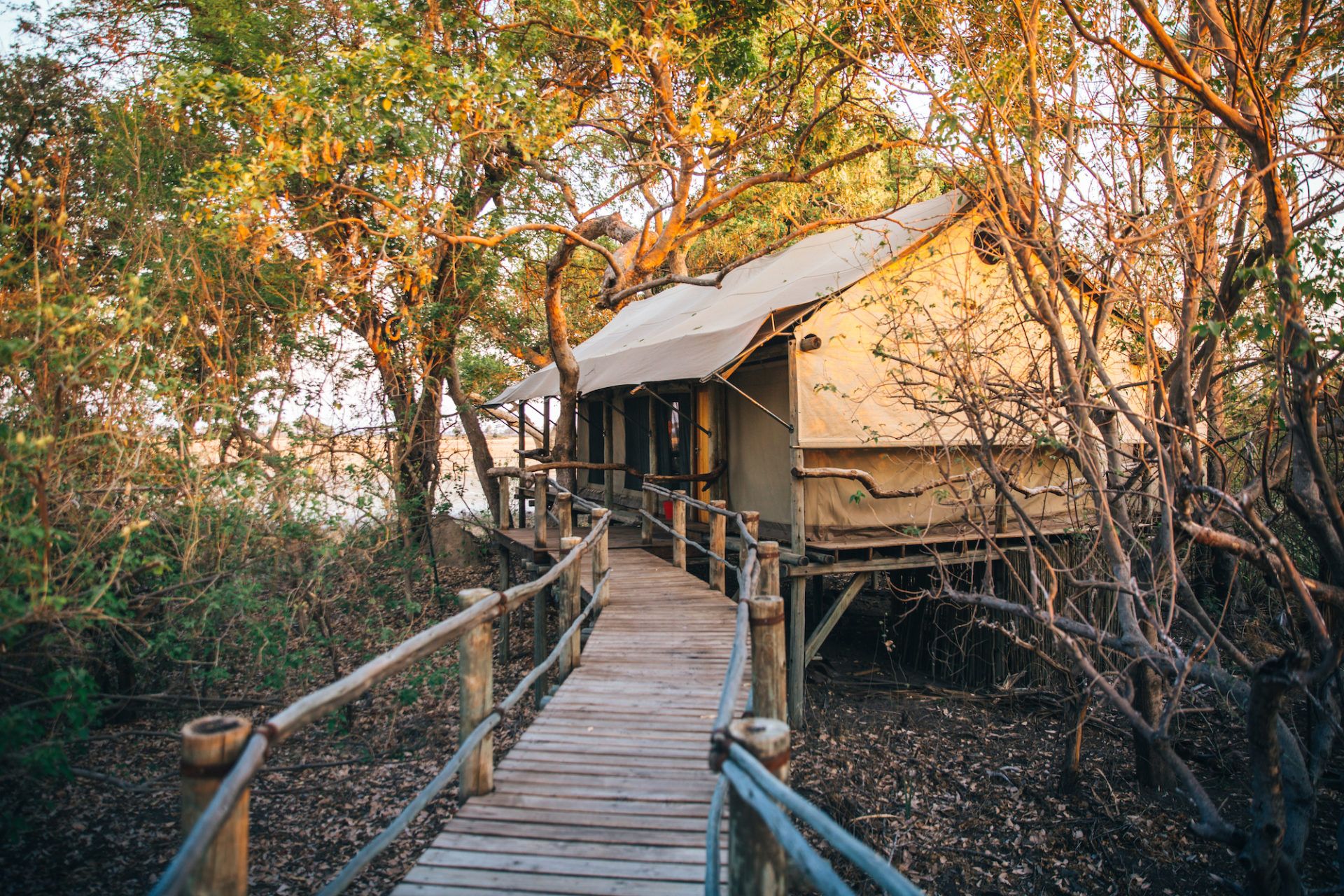 On safari in Botswana - what you need to know about exploring the ...
