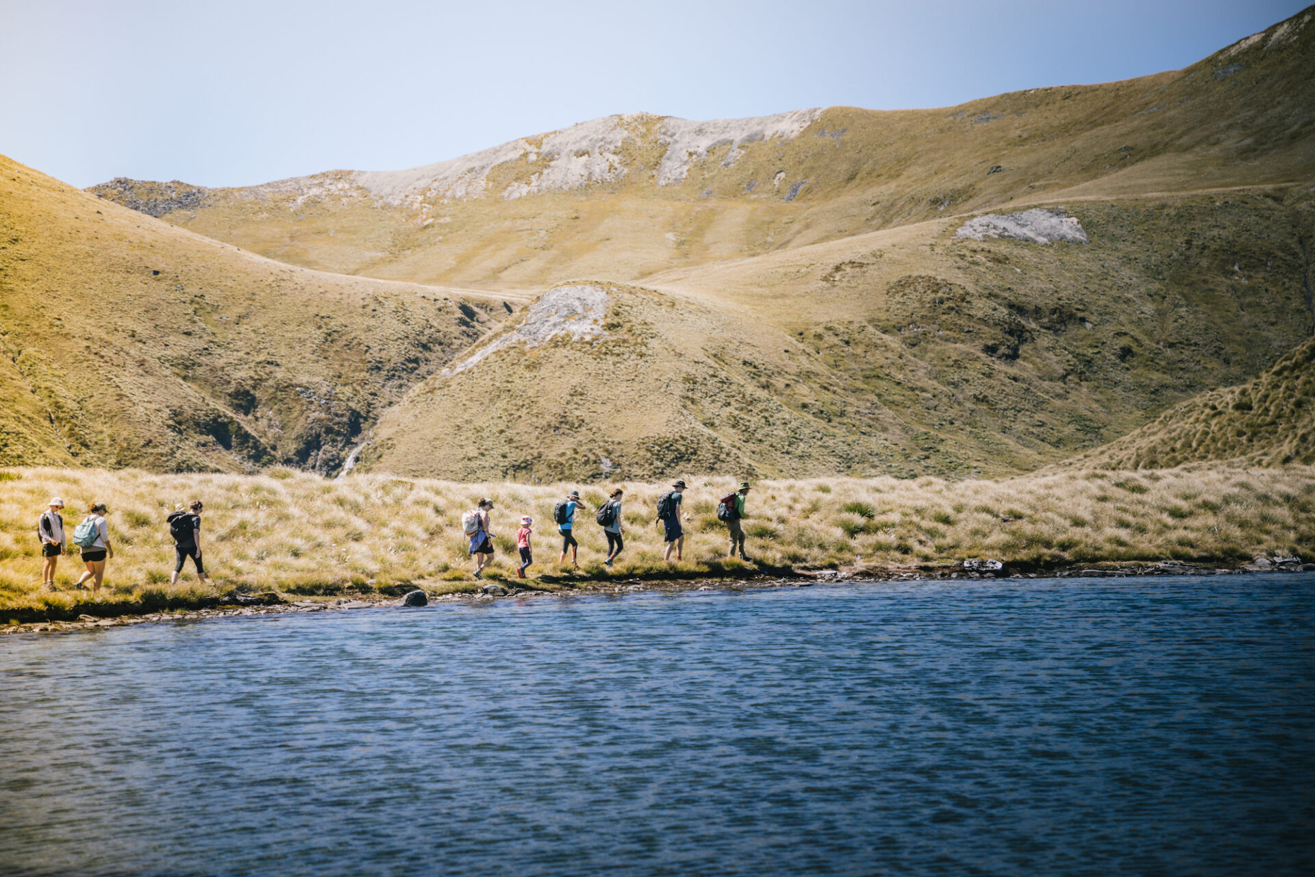 Botanizing in the Borland Valley: Fiordland's best hidden gem - Young ...