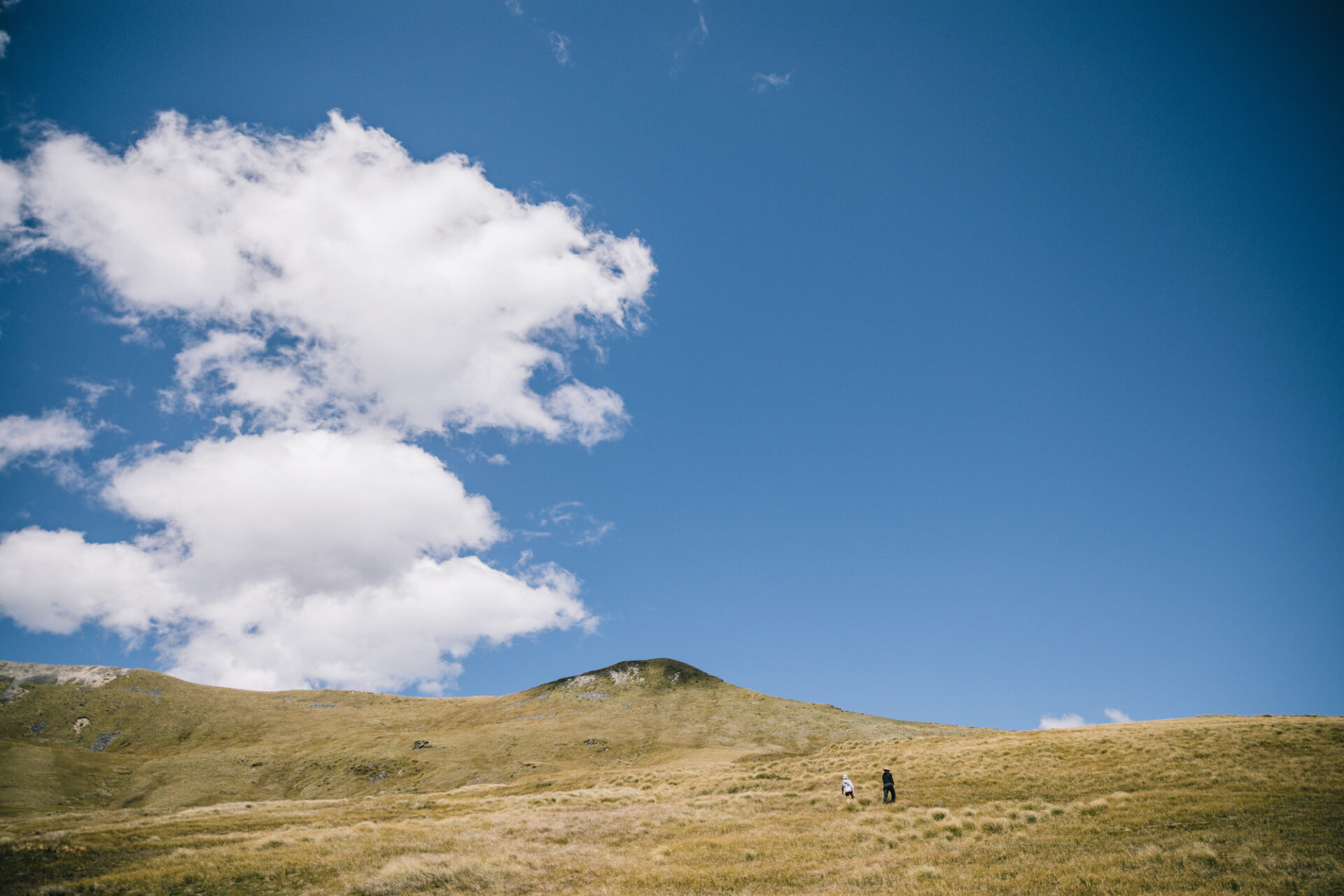 Botanizing in the Borland Valley: Fiordland's best hidden gem - Young ...