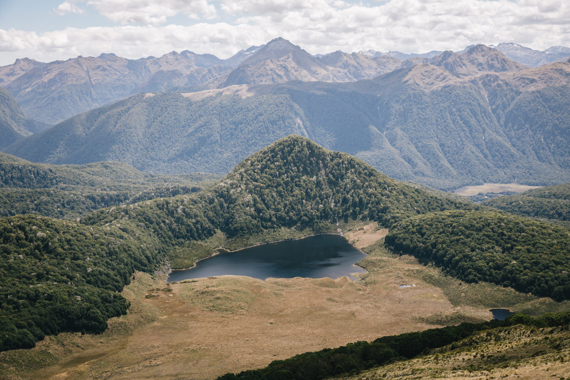 Botanizing in the Borland Valley: Fiordland's best hidden gem - Young ...