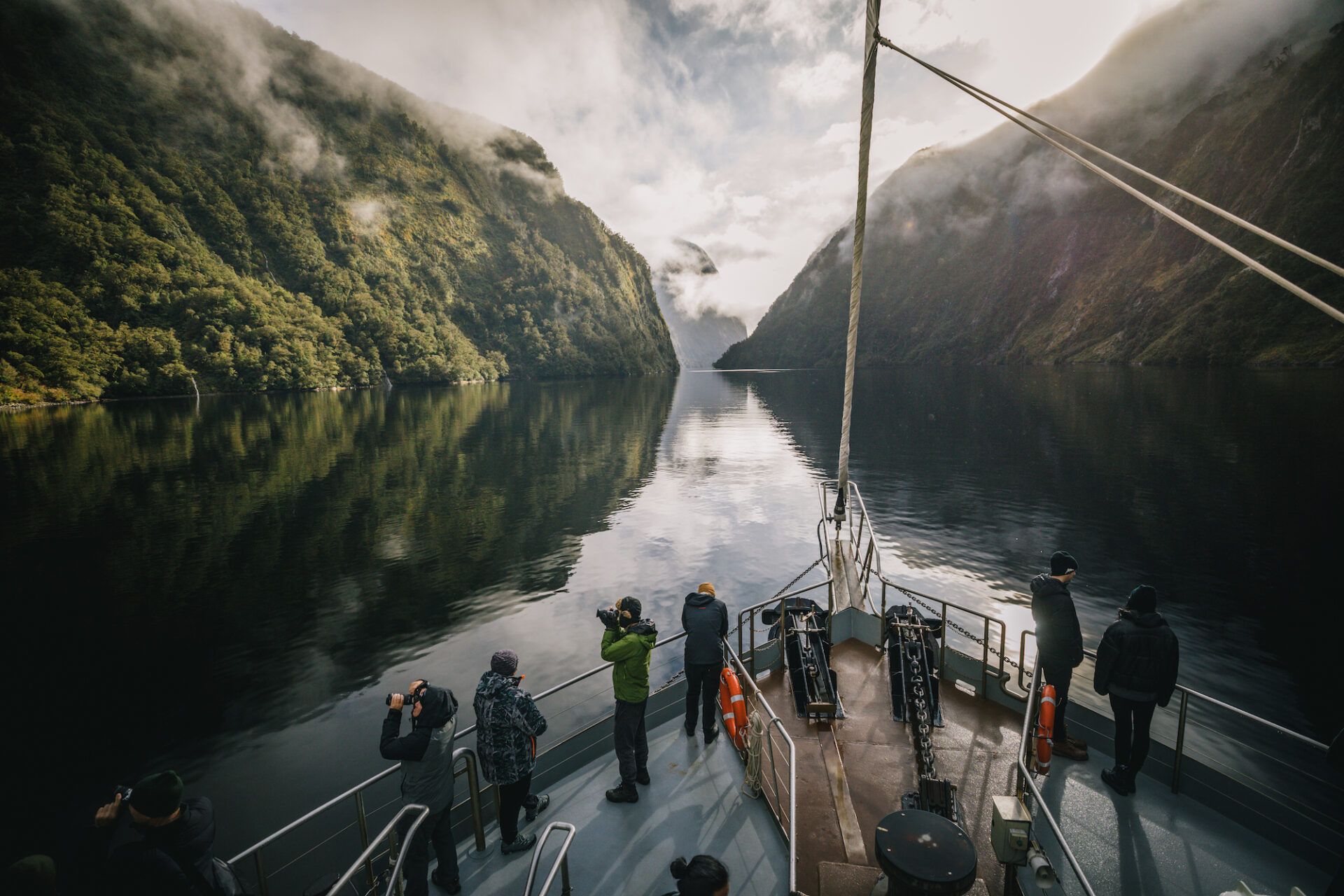 My top 16 things to do in Fiordland for an unforgettable adventure ...