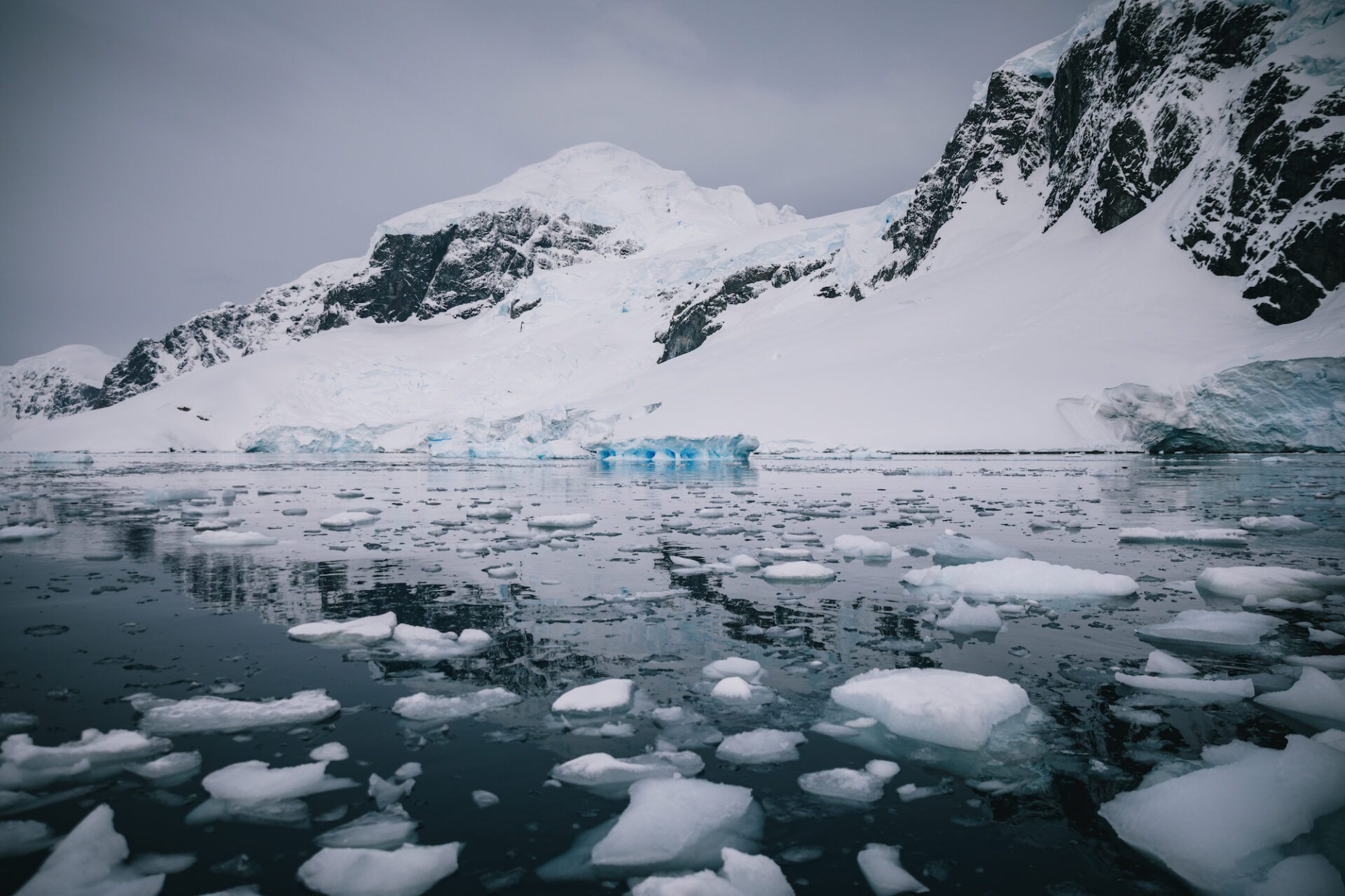 Postcards from Antarctica - Young Adventuress
