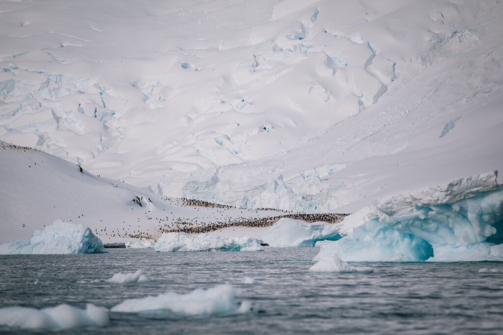 Postcards from Antarctica - Young Adventuress