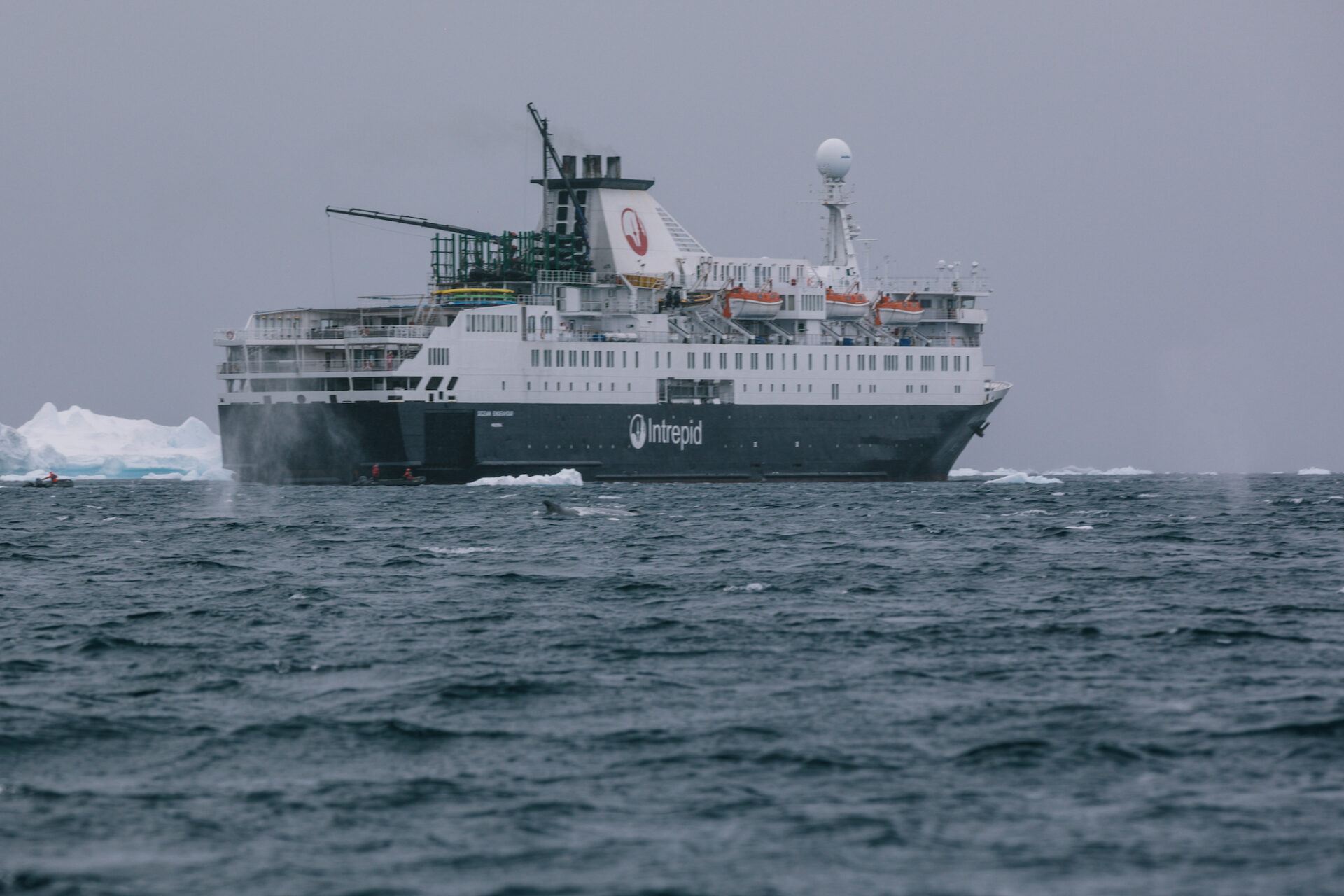 Postcards from Antarctica - Young Adventuress