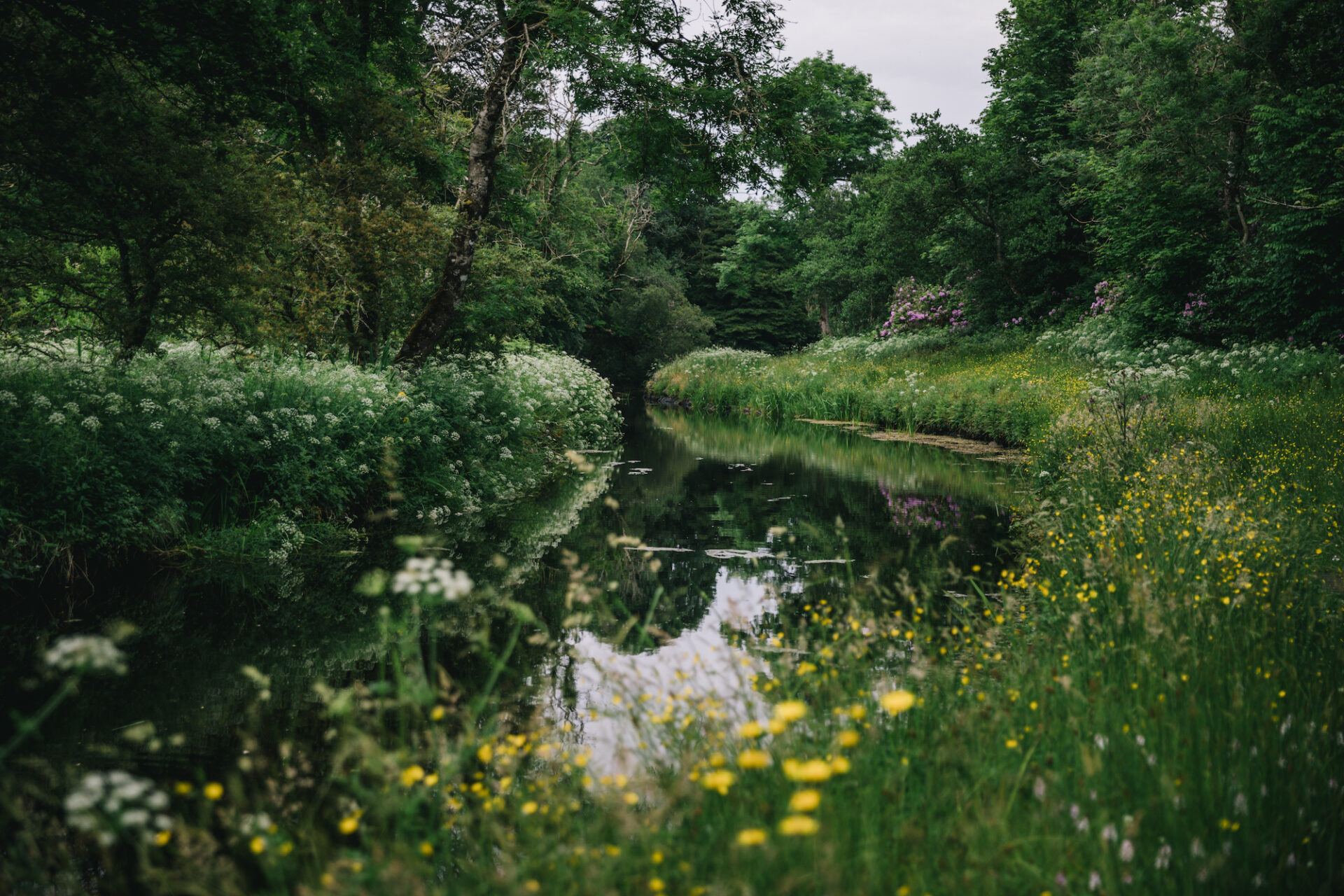 30 photos to inspire you to visit the Scottish Isles » Gitwa Travel Notes