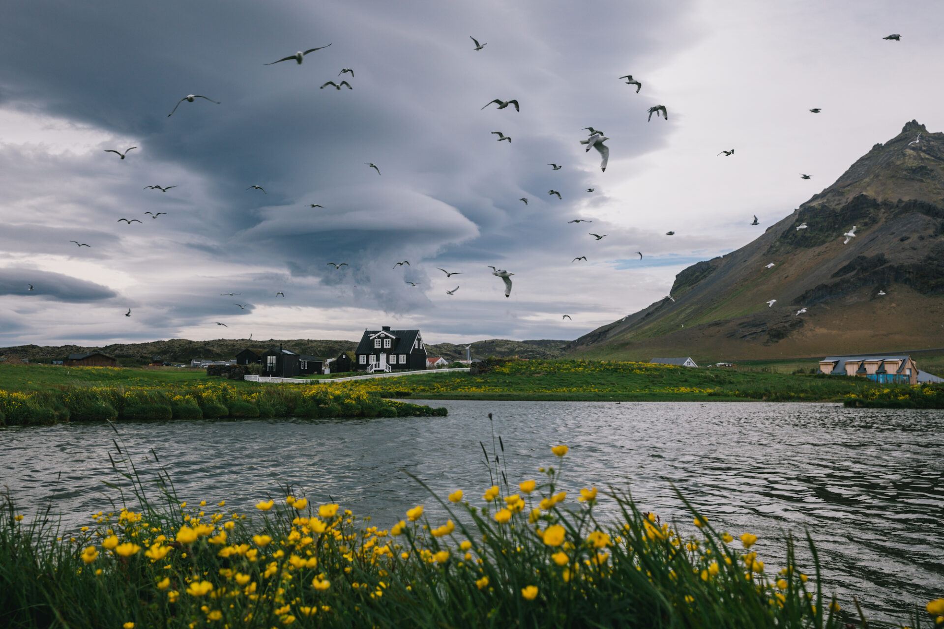 25 photos to inspire you to visit Iceland by sea - Young Adventuress