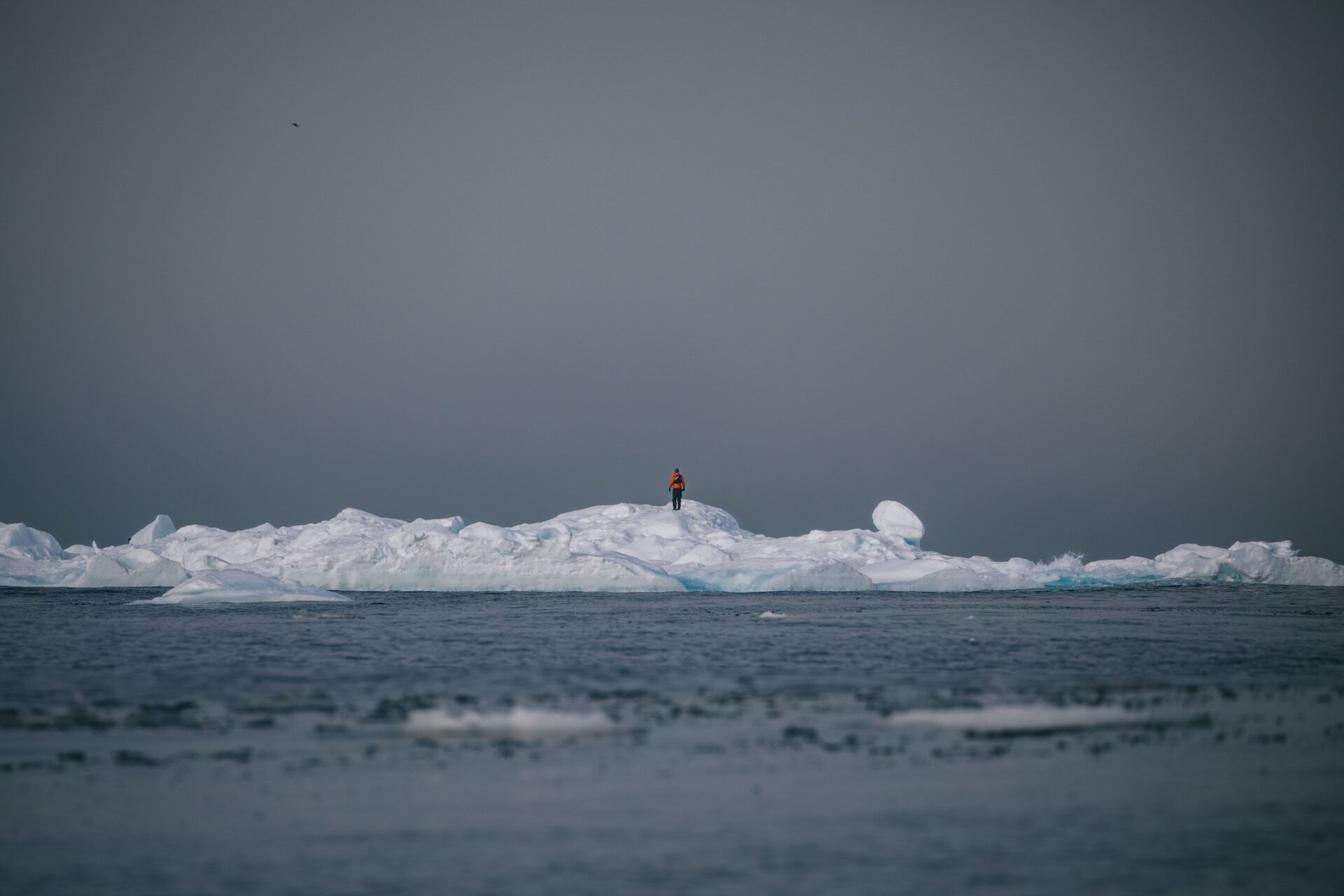 10 incredible moments from three months at sea in the Arctic - Young ...