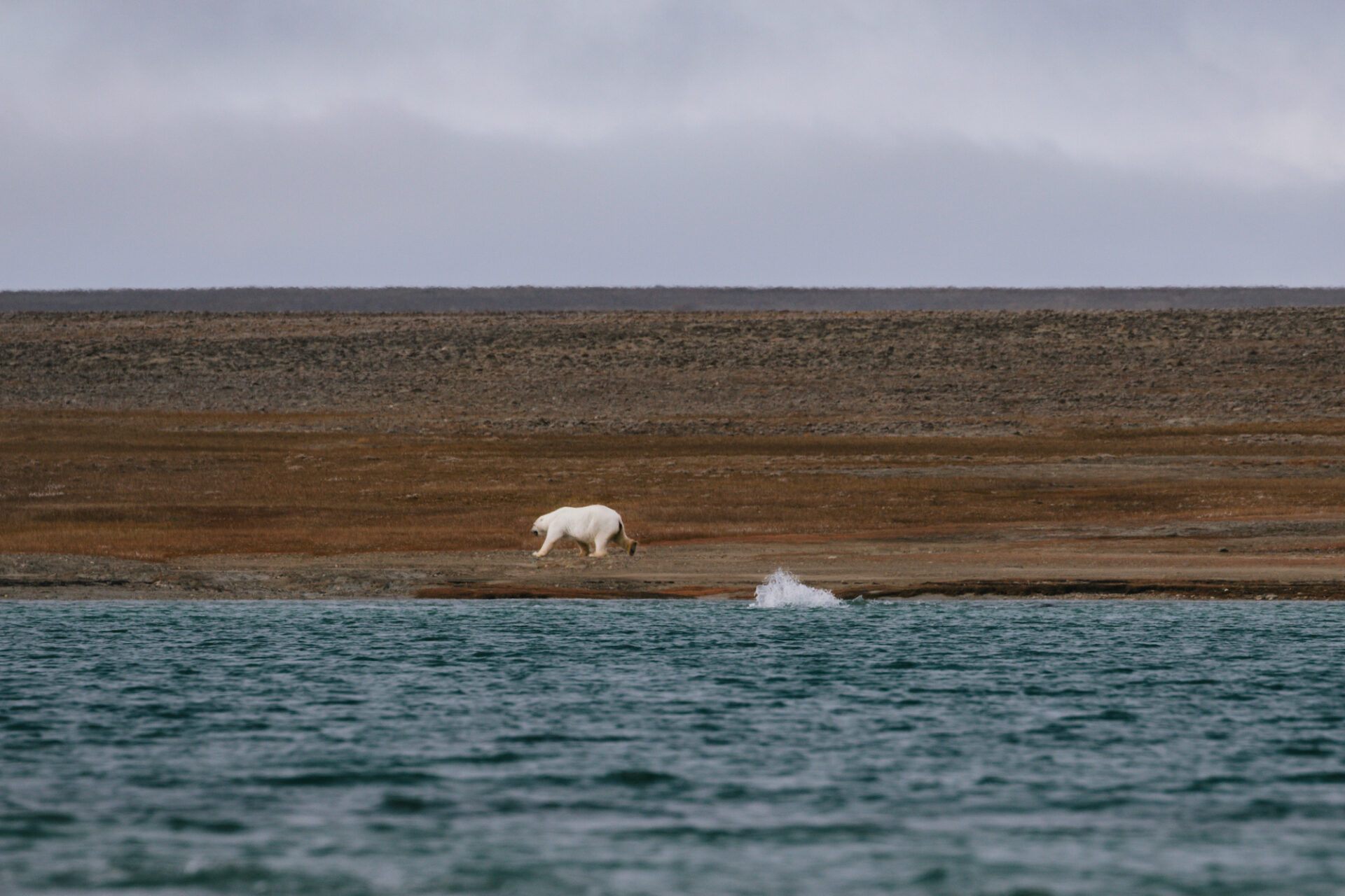 10 incredible moments from three months at sea in the Arctic - Young ...