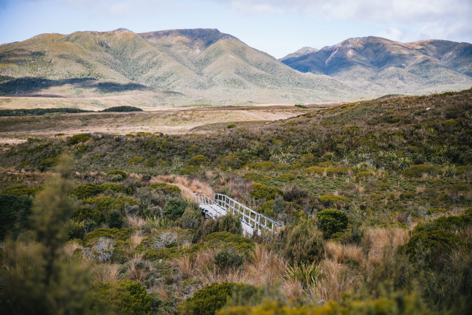 How the Heaphy Track become my new favorite Great Walk - Young Adventuress