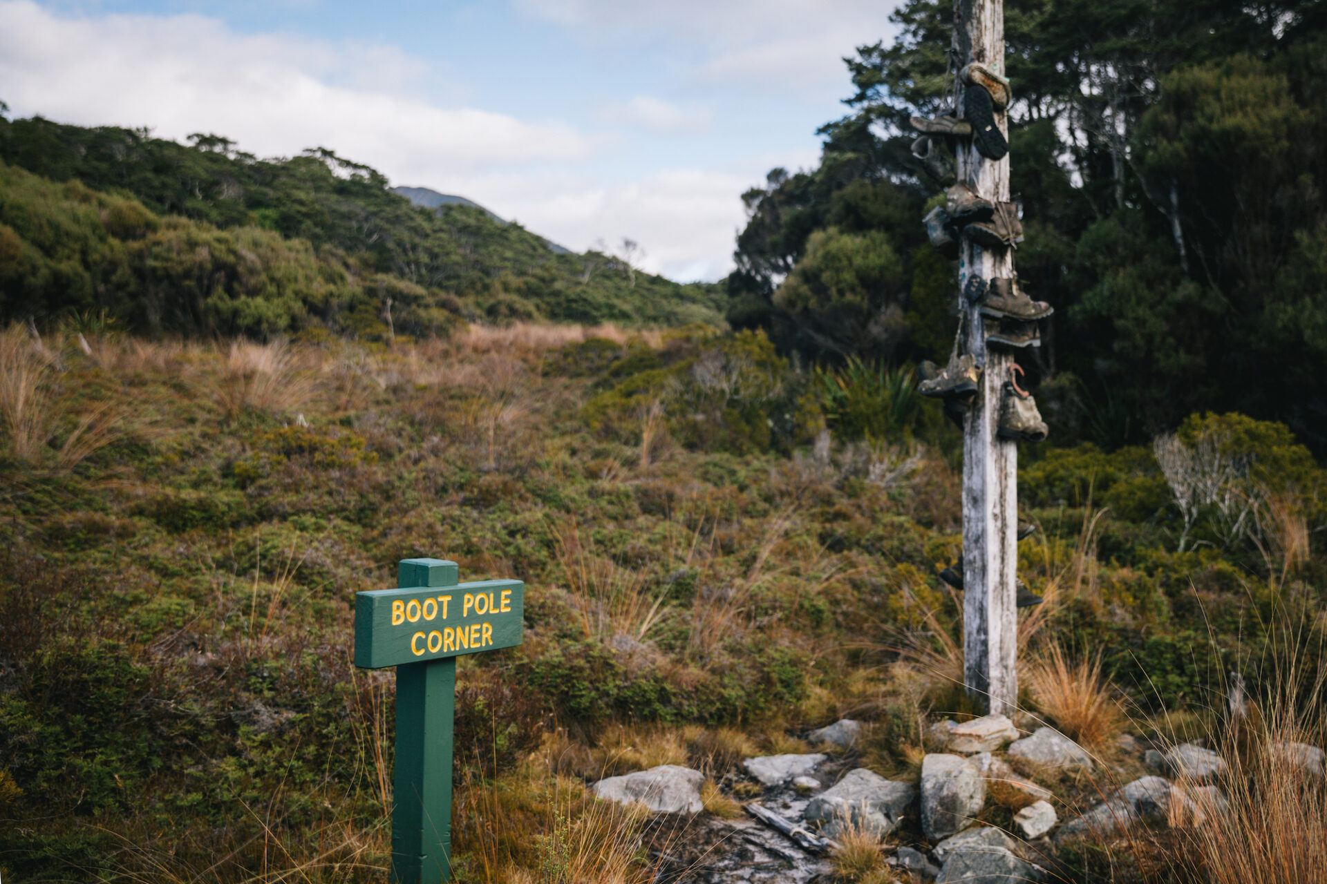 How the Heaphy Track become my new favorite Great Walk - Young Adventuress