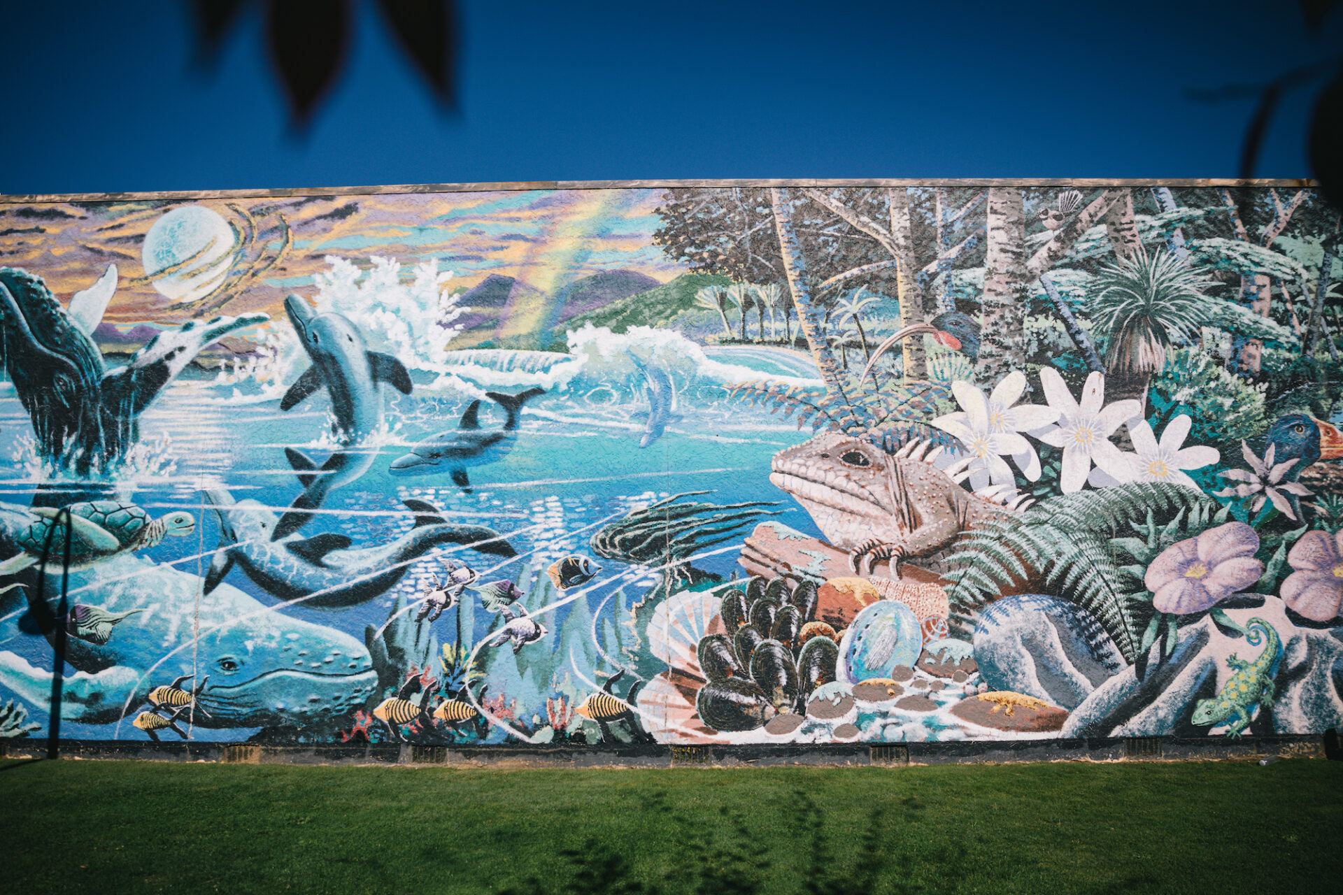 Takaka: a golden getaway to Golden Bay - Young Adventuress