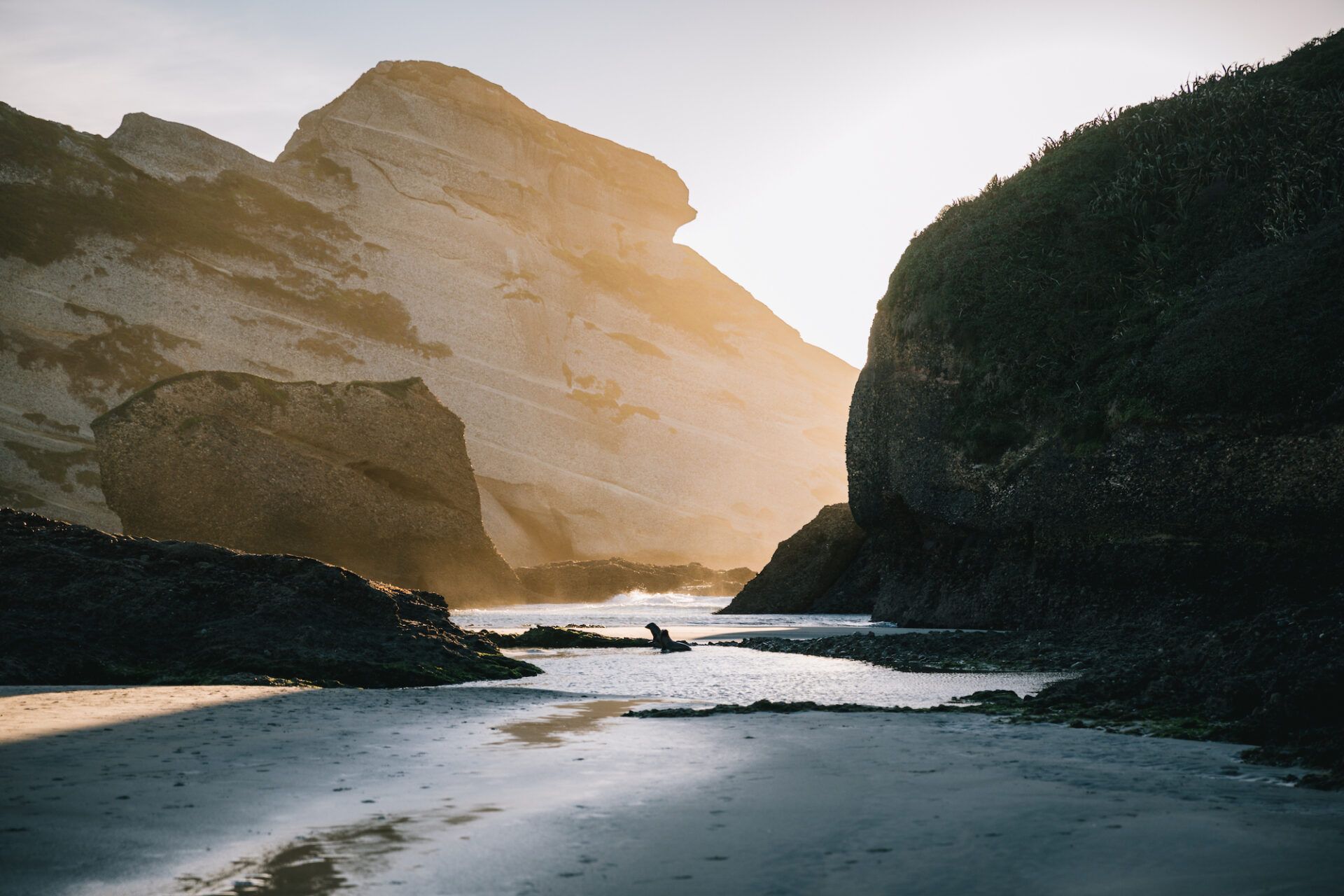 Takaka: a golden getaway to Golden Bay - Young Adventuress